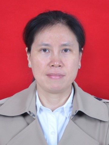 IEEE能源与电气工程国际学术会议-2024 International Conference on Energy and ...